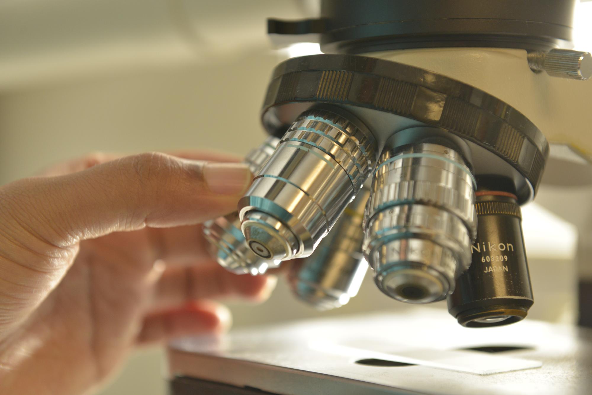 Marie Bellantoni, M.D. – Research & Publications – Mercy