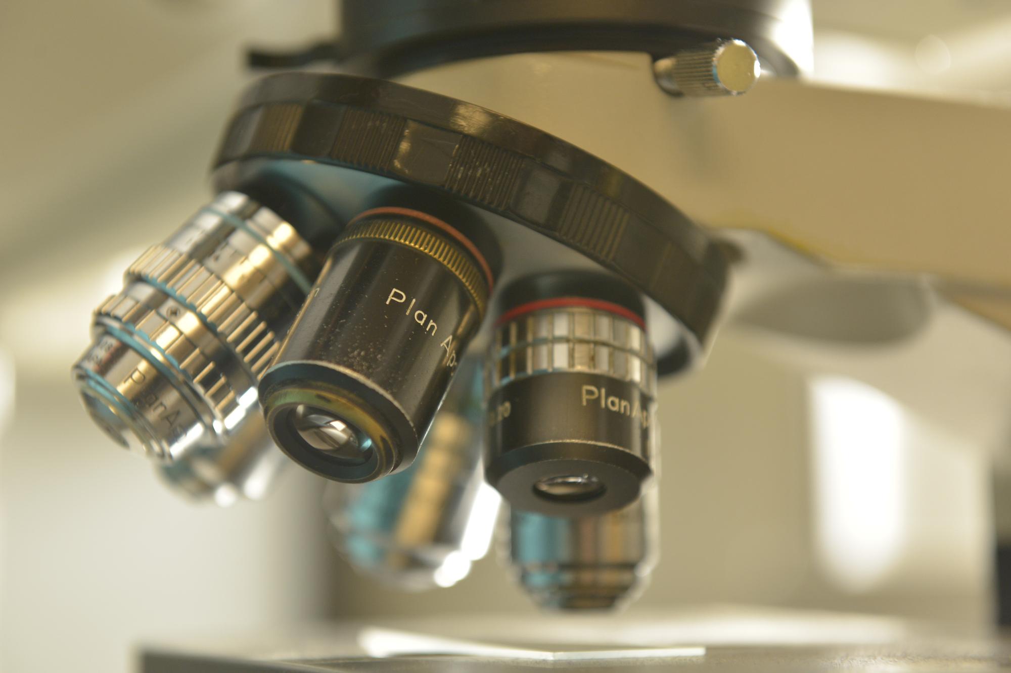 Rebecca Cerrato, M.D. – Research & Publications – Mercy