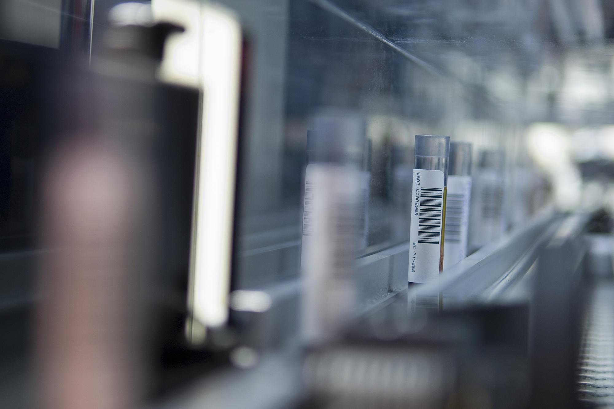 Development of Patient-derived Tumorgrafts as a Model for the Discovery ...